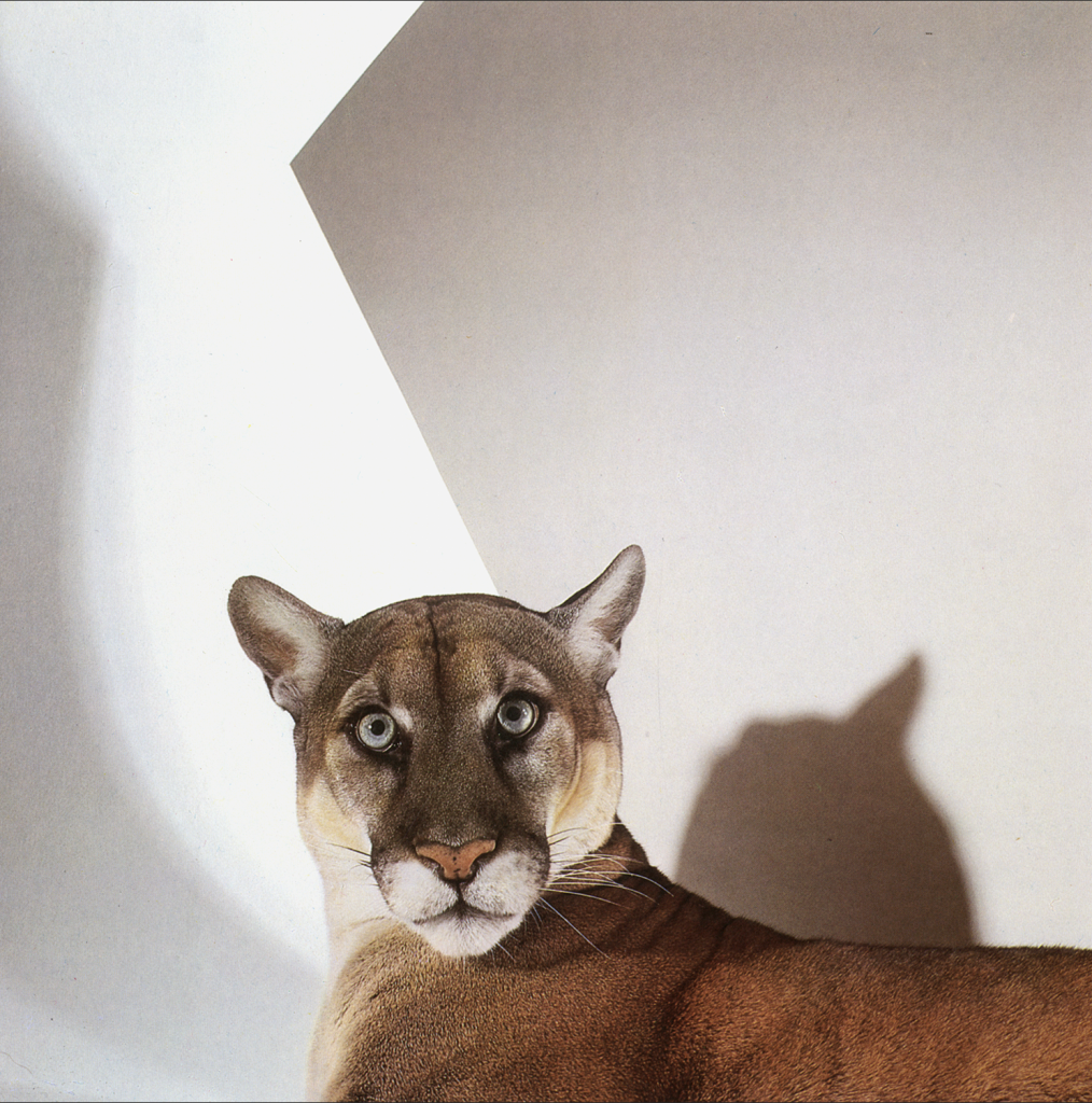 James Balog Photography - A Gallery for Fine Photography